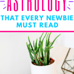 12 Best Most Insightful Books on Astrology for Beginners